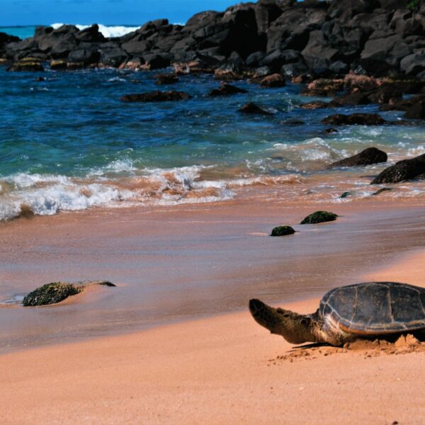 140+ Fun Jenga Questions for Traveling Families - Meldrums on the Move